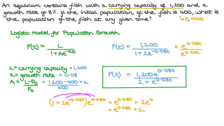 Lesson: The Logistic Model | Nagwa