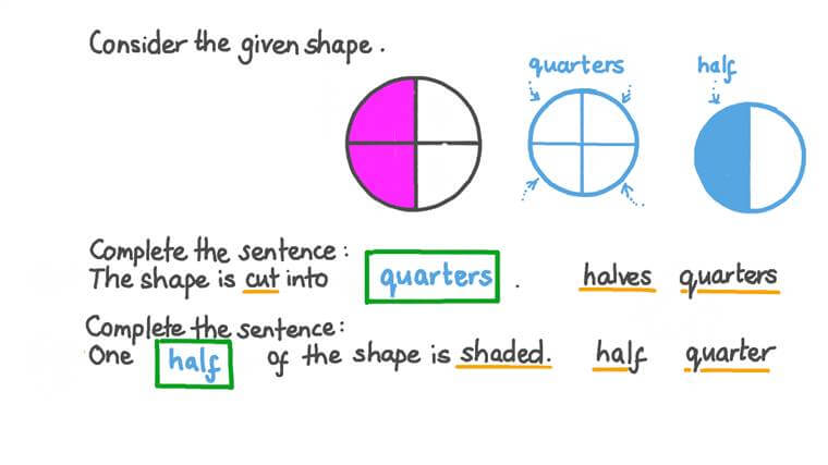Lesson: Halves and Quarters | Nagwa
