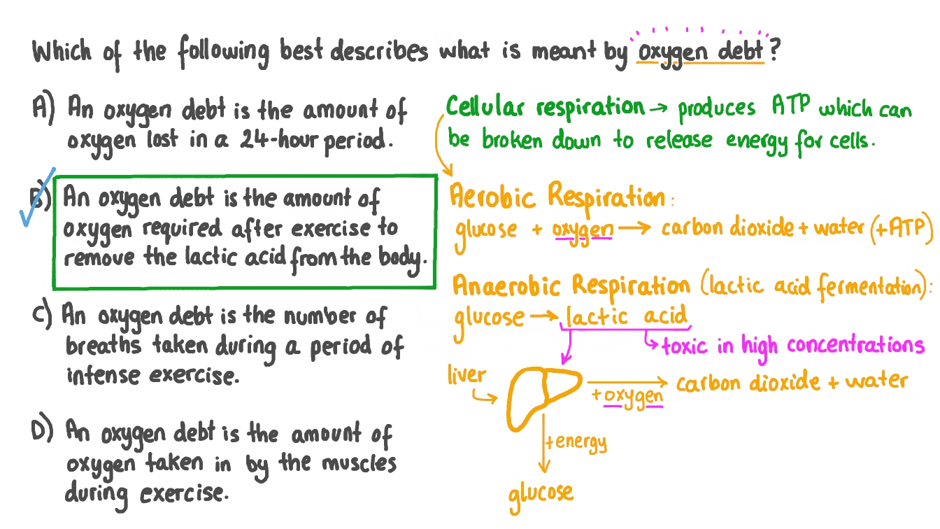 Question Video Defining The Term Oxygen Debt Nagwa