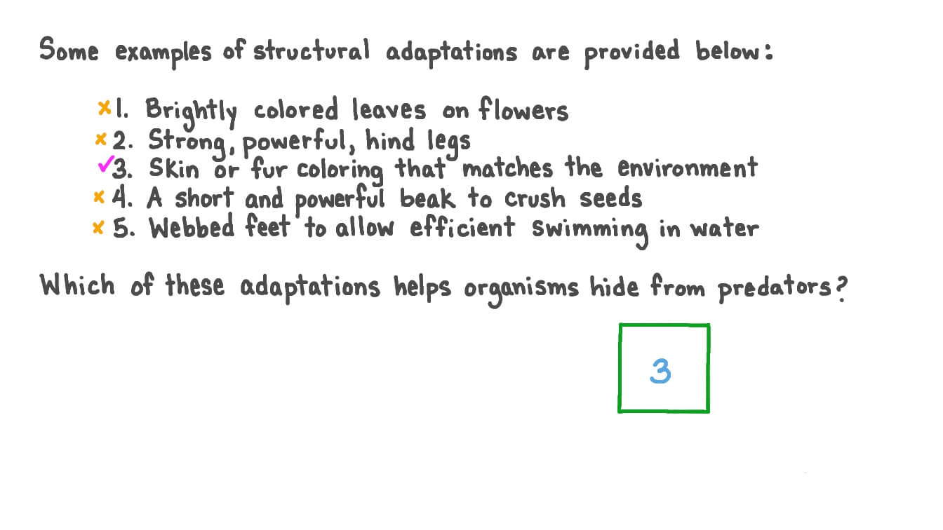 Question Video: Identifying Structural Adaptations That Help Organisms ...