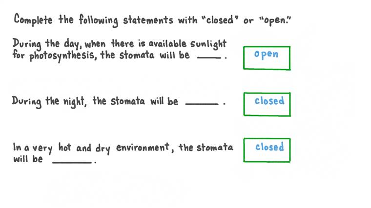 Lesson: Transpiration | Nagwa