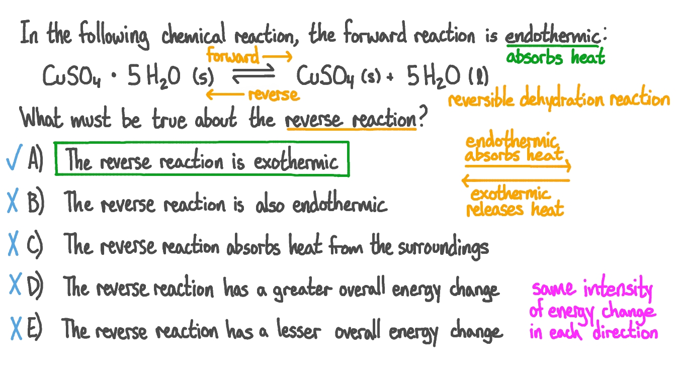 ion Video Understanding How A Forward And A Reverse Reaction Are 