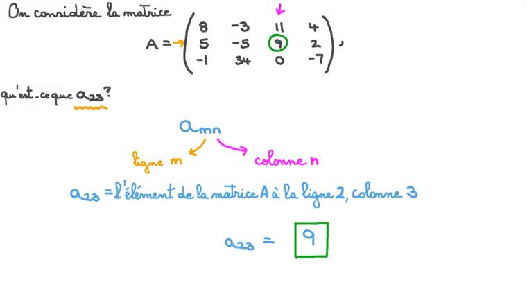Leçon : Introduction aux matrices | Nagwa