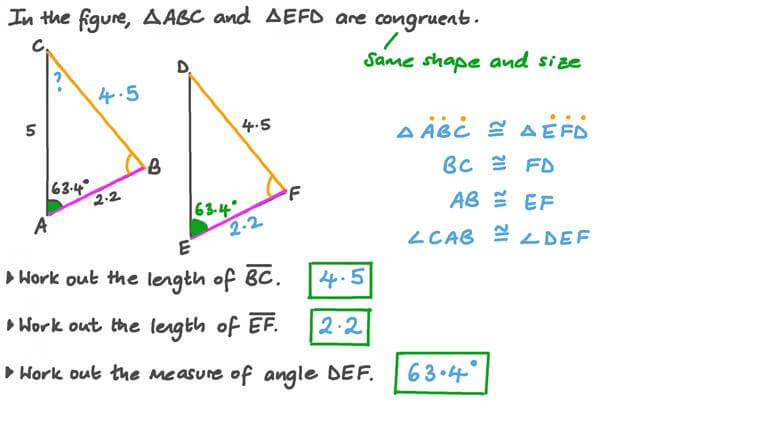 Lesson: Applications of Triangle Congruence | Nagwa