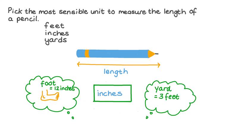 Lesson Playlist | Nagwa