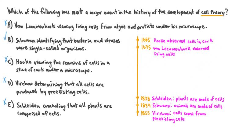 Lesson: Cell Theory | Nagwa