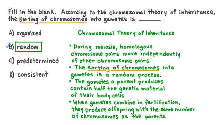 Chromosome Theory Of Inheritance The Chromosomal Basis Of Inheritance