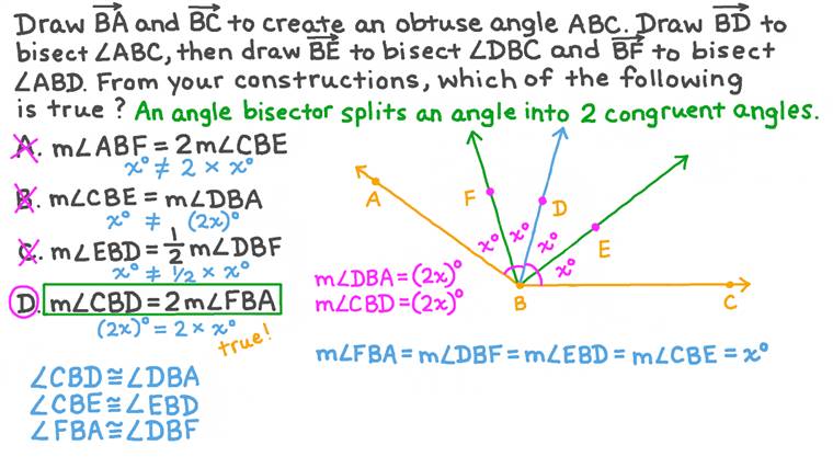 Lesson Playlist | Nagwa