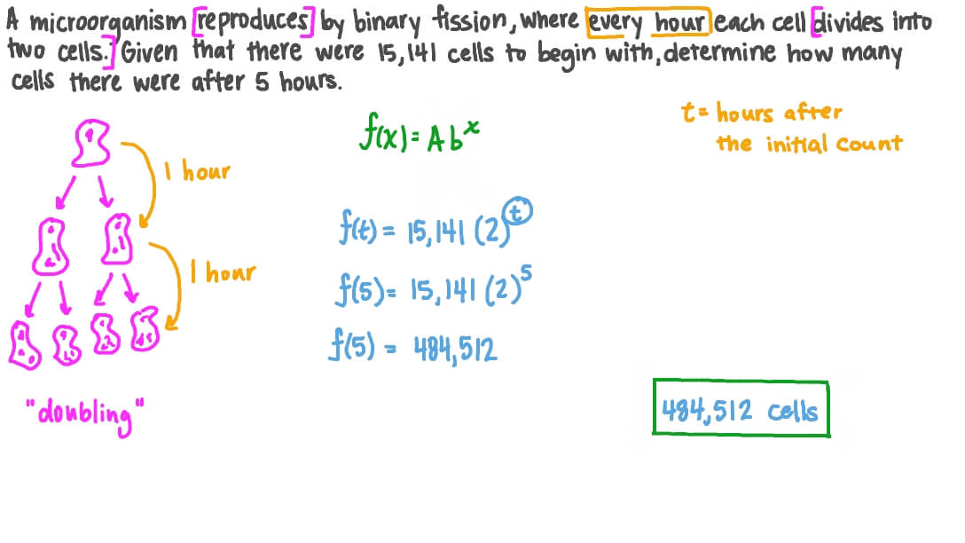 Question Video: Writing and Solving Exponential Equations for a Real-World Context | Nagwa