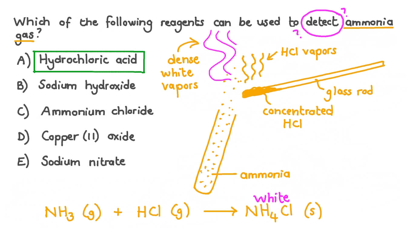 ion Video Identifying The Reagent Used To Detect Ammonia Gas Nagwa
