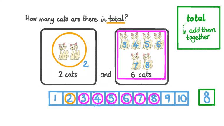 Lesson: Adding Objects | Nagwa