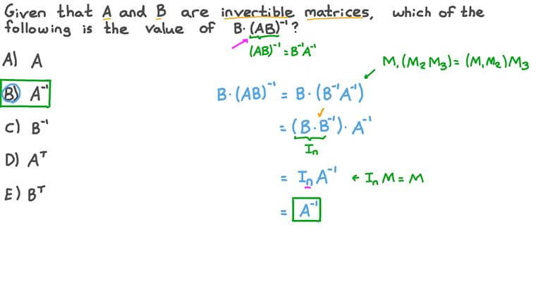 Lesson Playlist | Nagwa