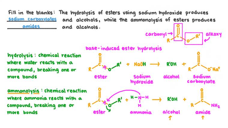 Lesson Playlist | Nagwa