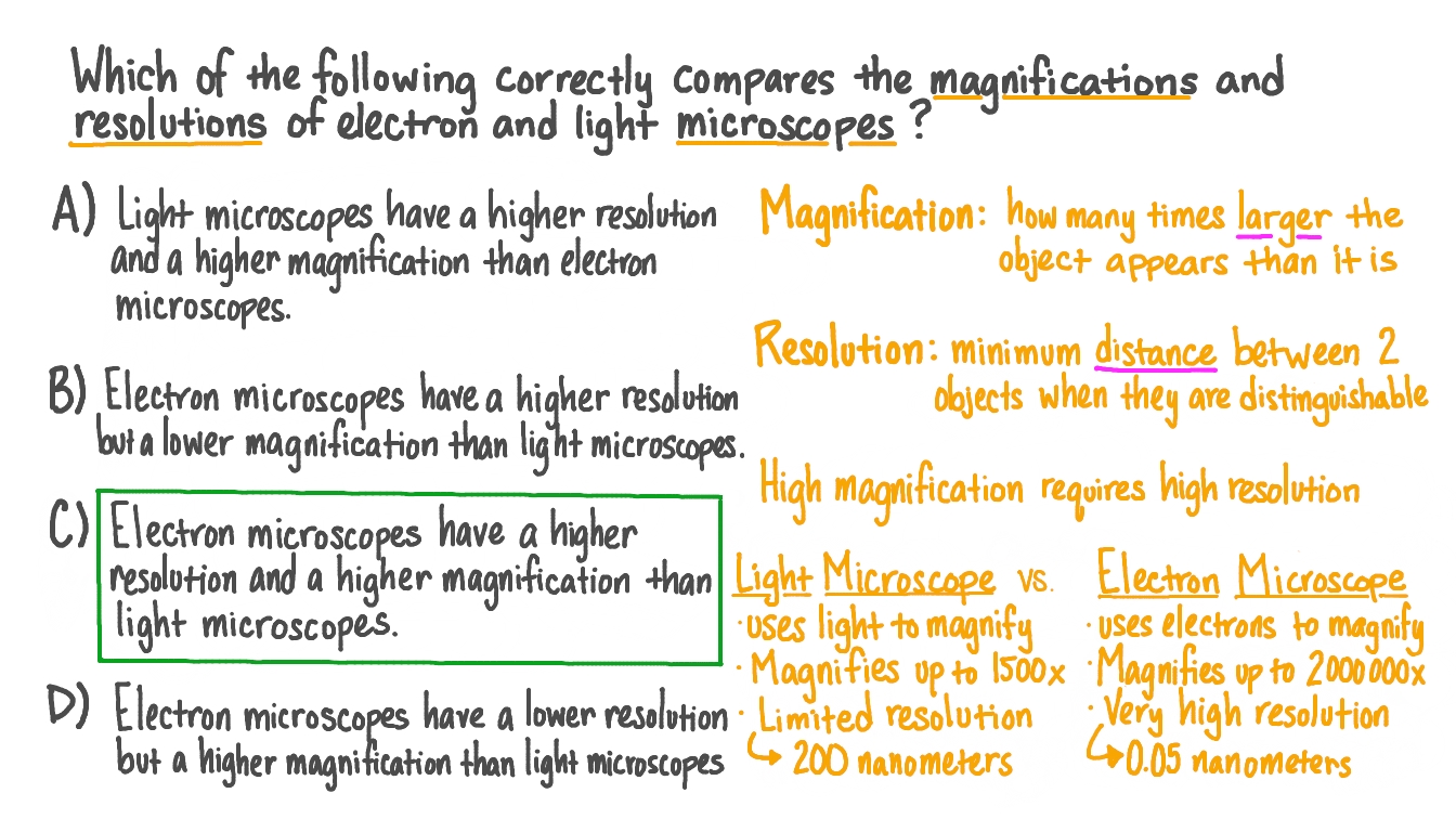 ion Video Comparing The Magnification Of Light And Electron Microscopes Nagwa