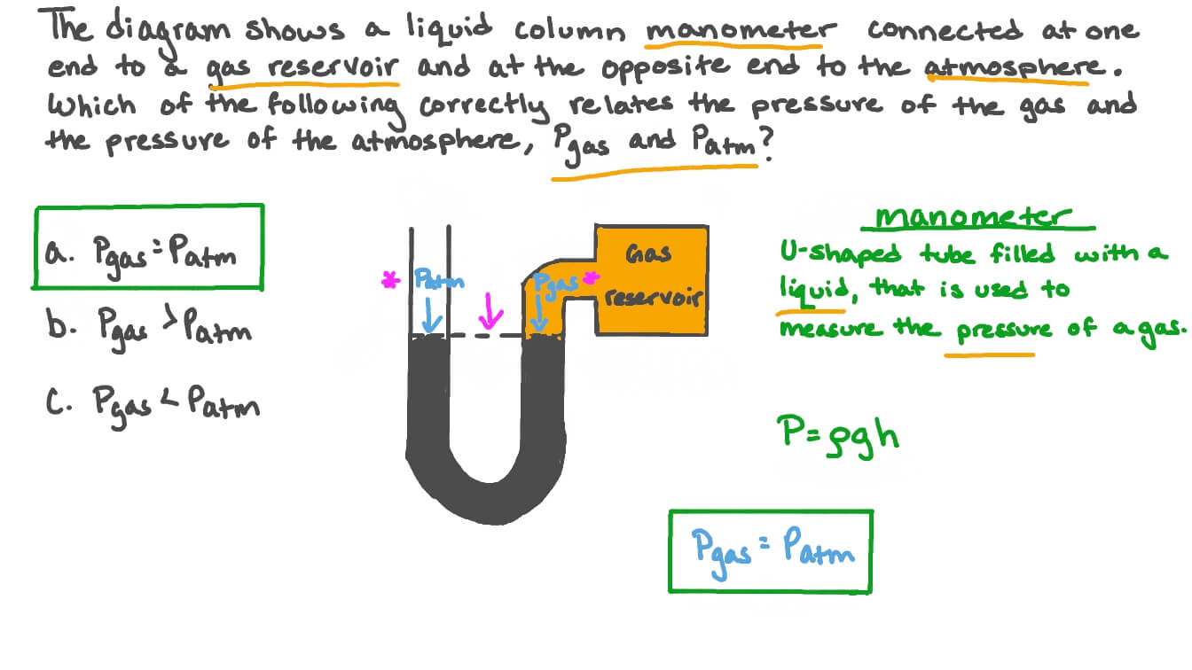 Lesson Playlist | Nagwa