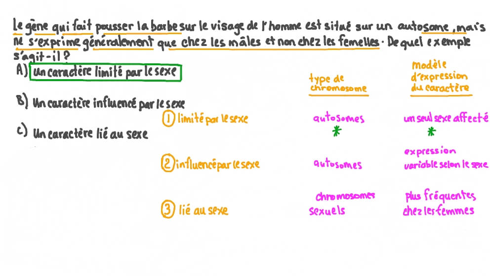 Question Video: 1 | Nagwa