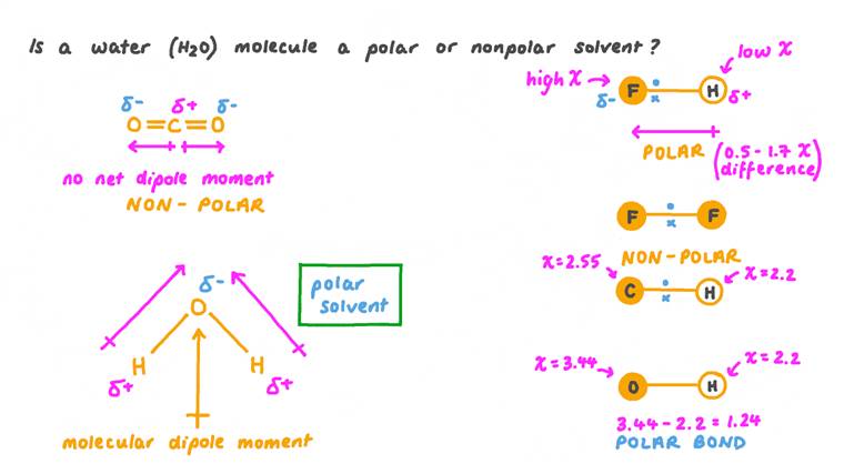 Lesson: Polar and Nonpolar Solvents | Nagwa