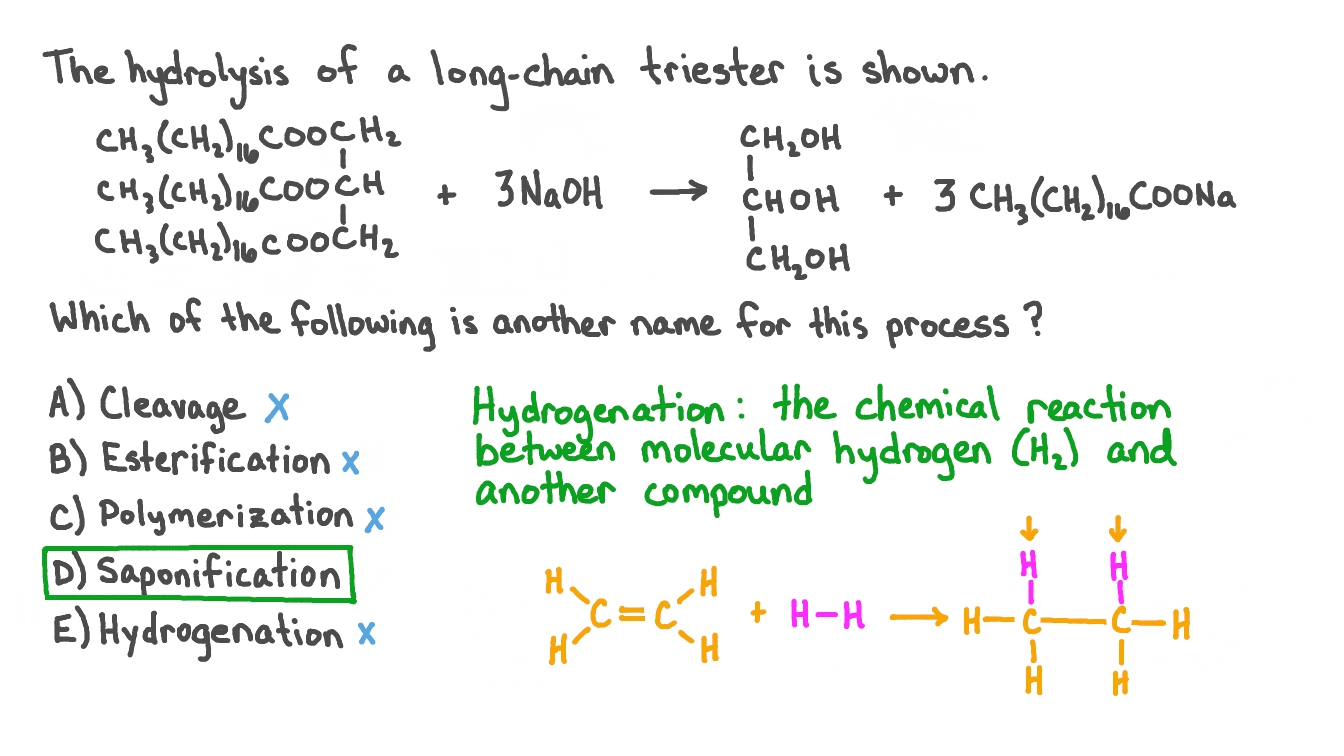 Question Video: Identifying Another Name for the Hydrolysis of a Long ...