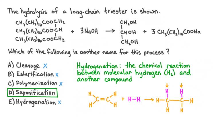 Lesson: Reactions of Esters | Nagwa