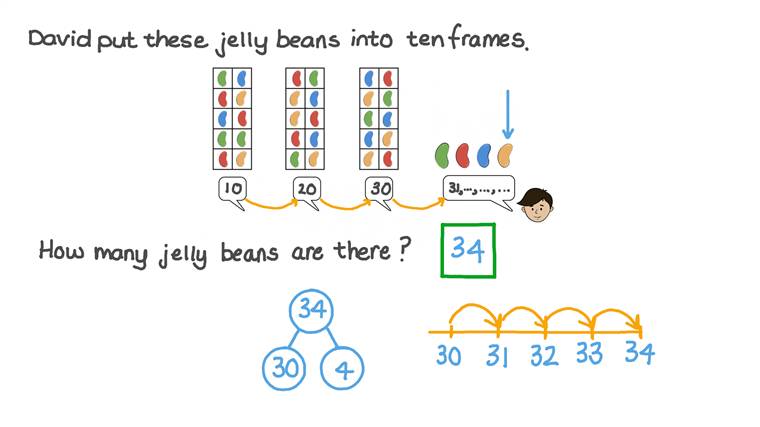 Lesson Playlist | Nagwa