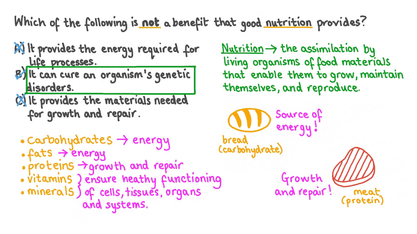 Question Video: Understanding the Benefits of Good Nutrition | Nagwa