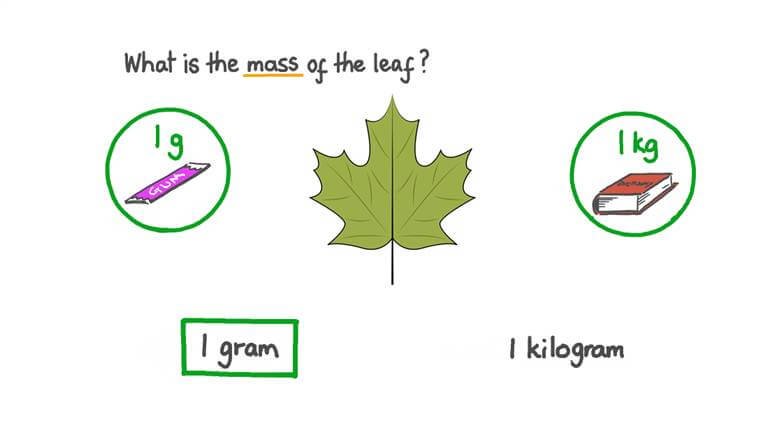 Lesson: Choosing Grams or Kilograms | Nagwa