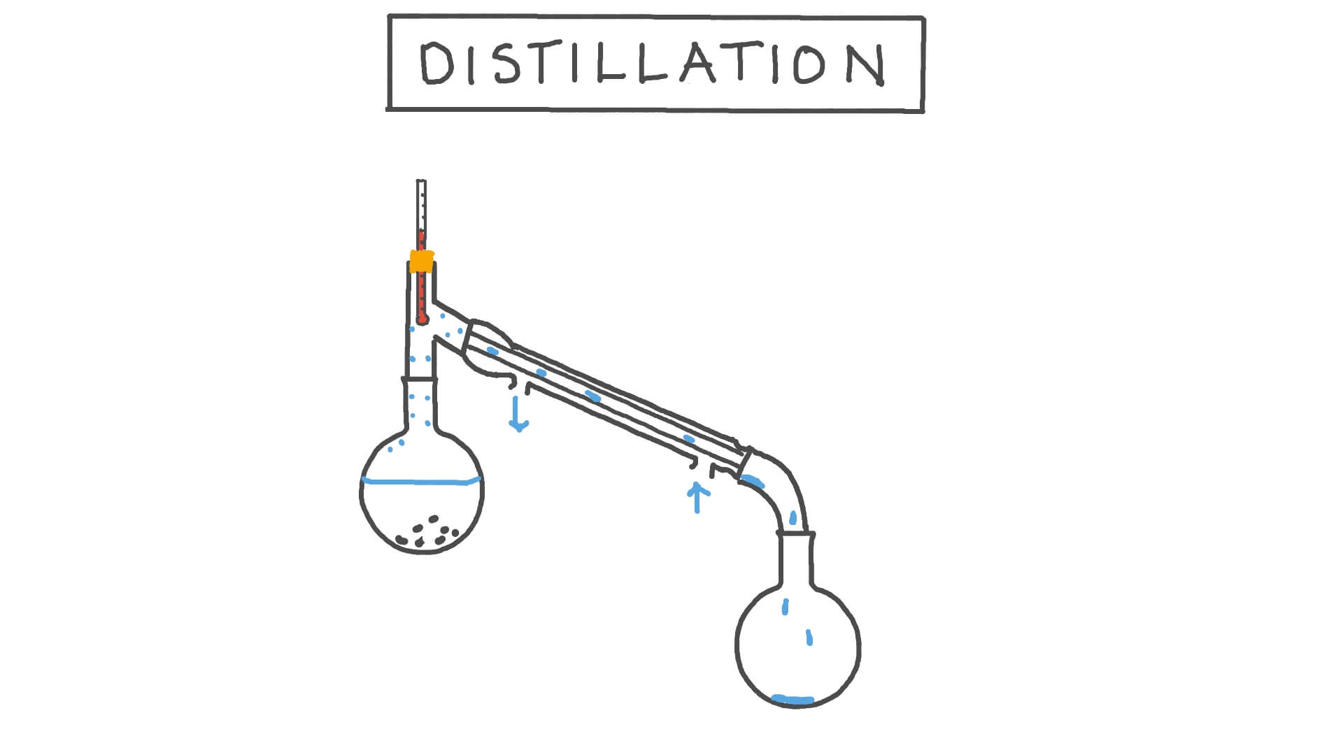 Lesson Distillation Nagwa