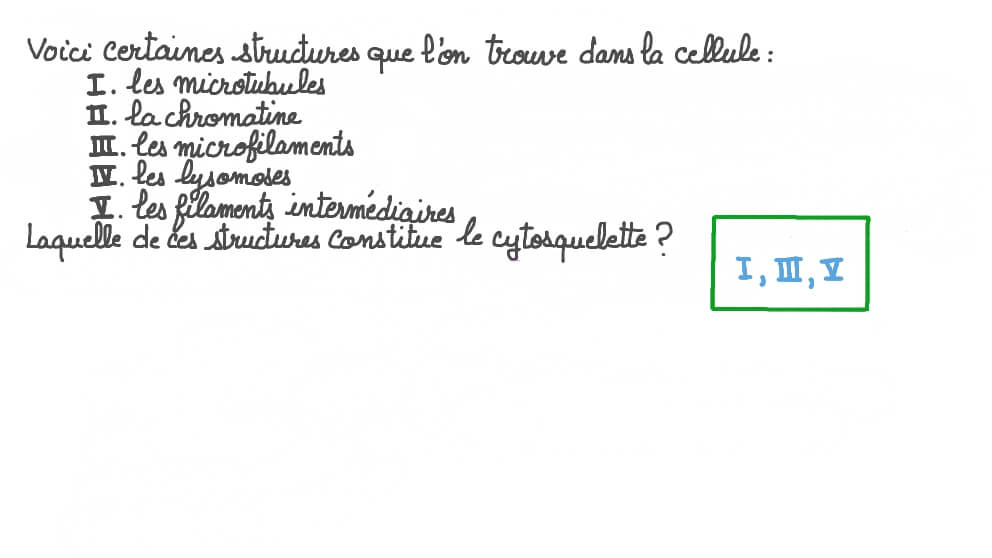 Cellule Du Cytosquelette Le Cytosquelette – Biologie Cellulaire Et