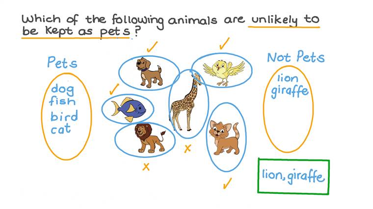 Lesson: Sorting Objects into Two Groups | Nagwa