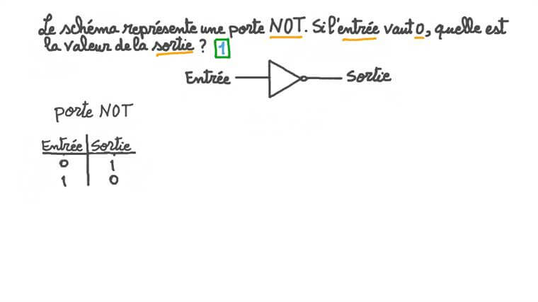 Leçon : Portes NON | Nagwa