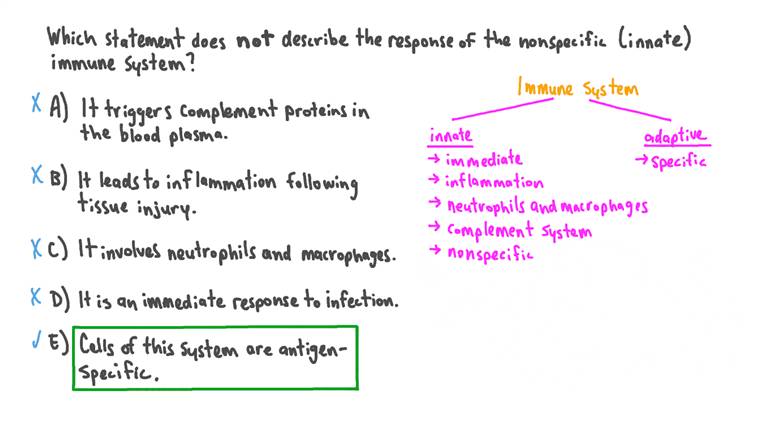 Lesson: The Nonspecific Immune Response | Nagwa