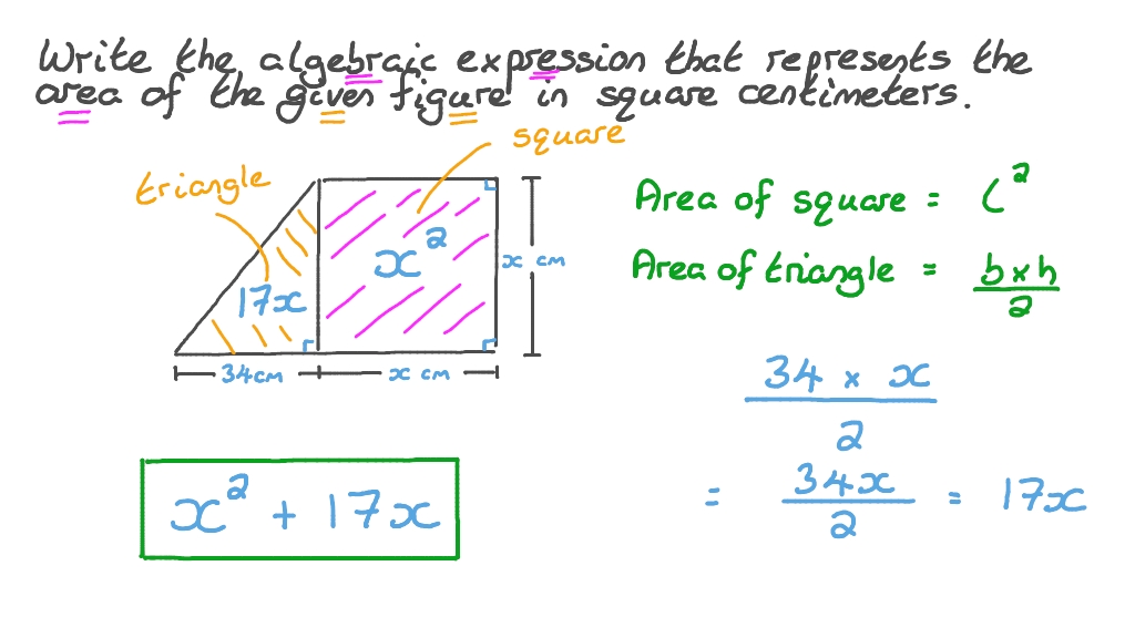 Question Video: Identifying the Algebraic Expression of the Area of a ...