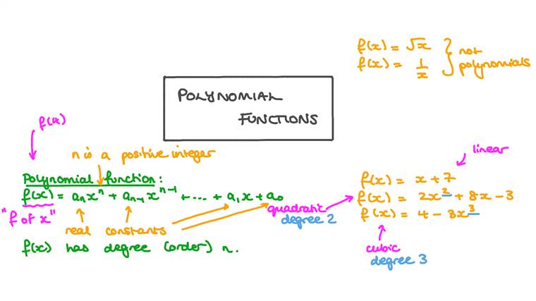 Videos | Page 92 of 231 | Nagwa