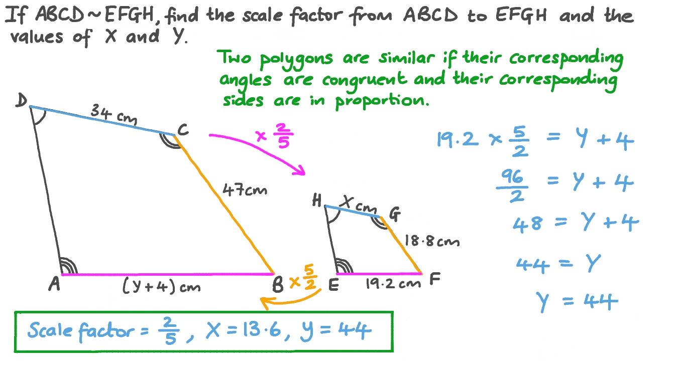 ion Video Finding The Scale Factor Between Two Polygons Given Their Dimensions Nagwa