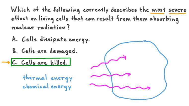 Lesson: The Effects of Radiation on Living Organisms | Nagwa
