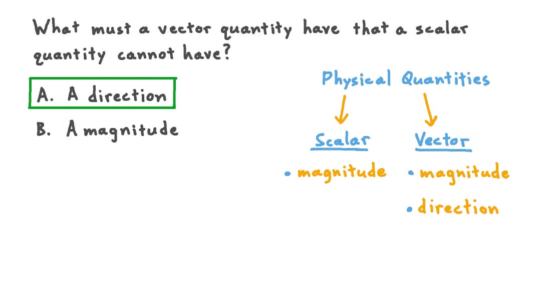 ion Video Understanding The Difference Between Scalar And Vector 