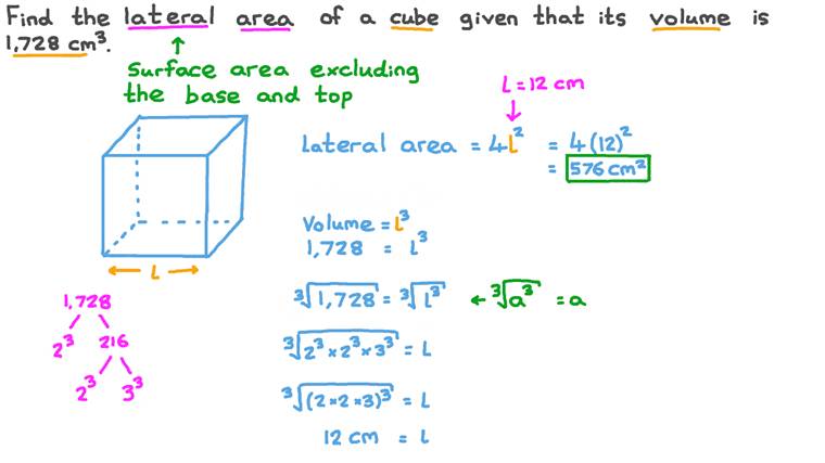 Lesson Playlist | Nagwa