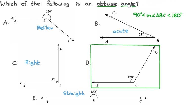Lesson Playlist | Nagwa