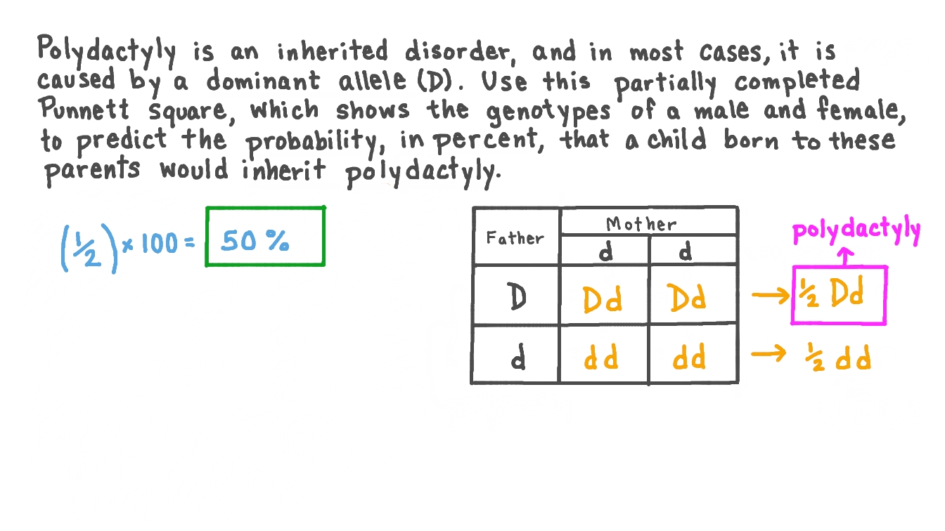 ion Video Completing A Punnett Square To Show Inheritance Of A 