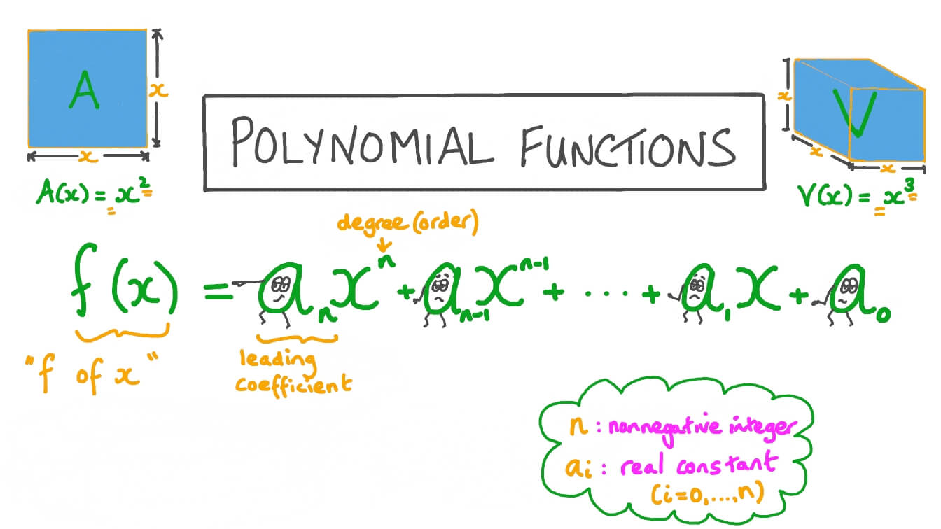 Lesson Video Polynomial Functions Nagwa