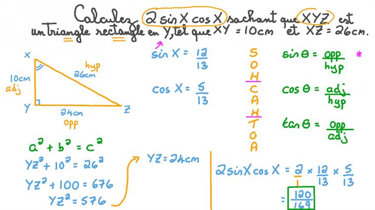 Leçon : Rapports trigonométriques dans les triangles rectangles | Nagwa