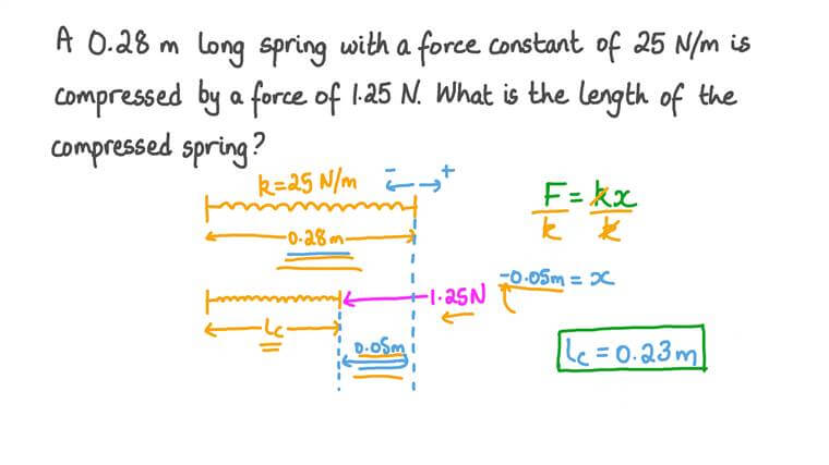 Lesson Playlist | Nagwa