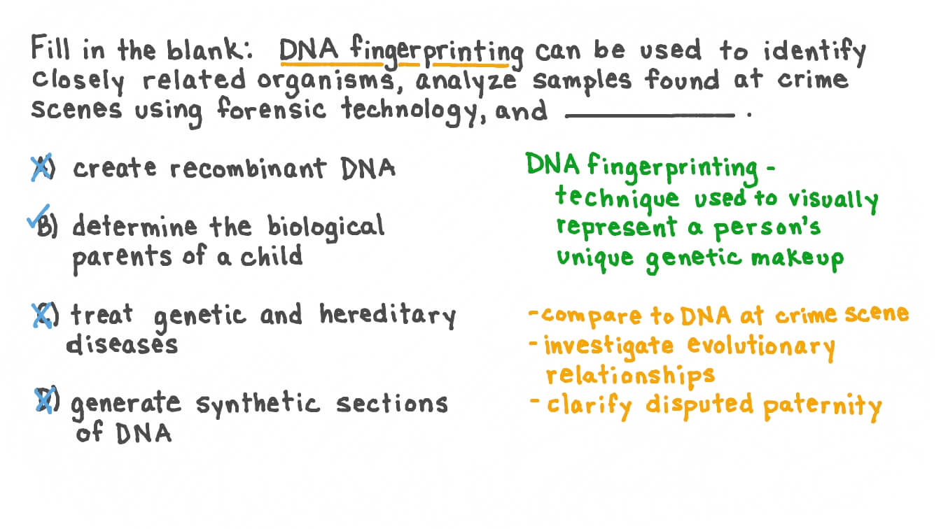ion Video Recalling The Applications Of DNA Fingerprinting Nagwa