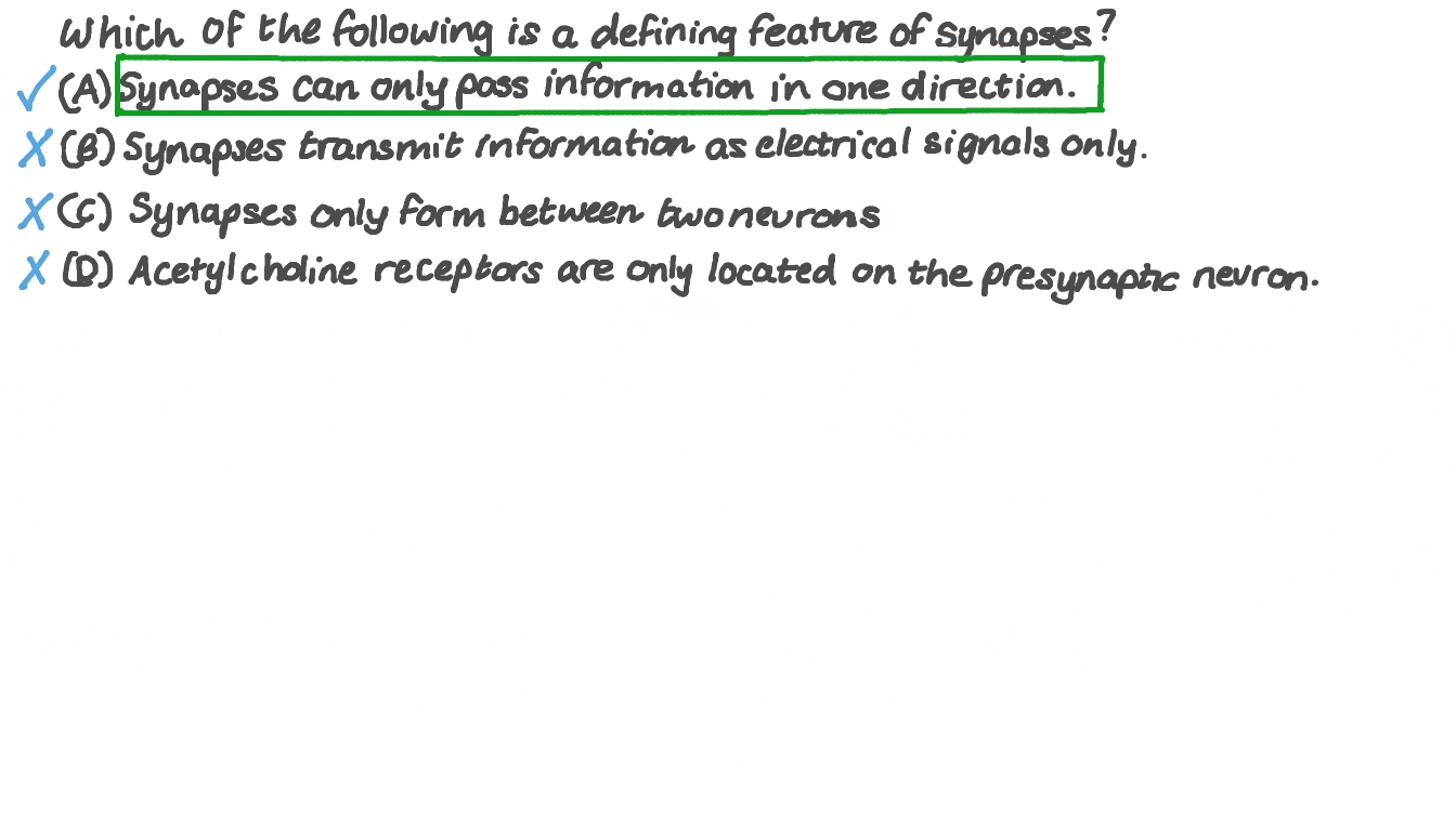 Question Video: Recalling the Defining Features of Synapses | Nagwa
