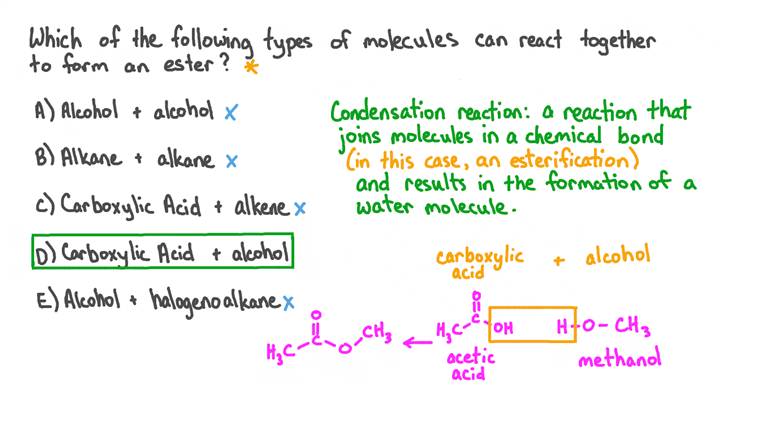 Lesson: Properties of Esters | Nagwa