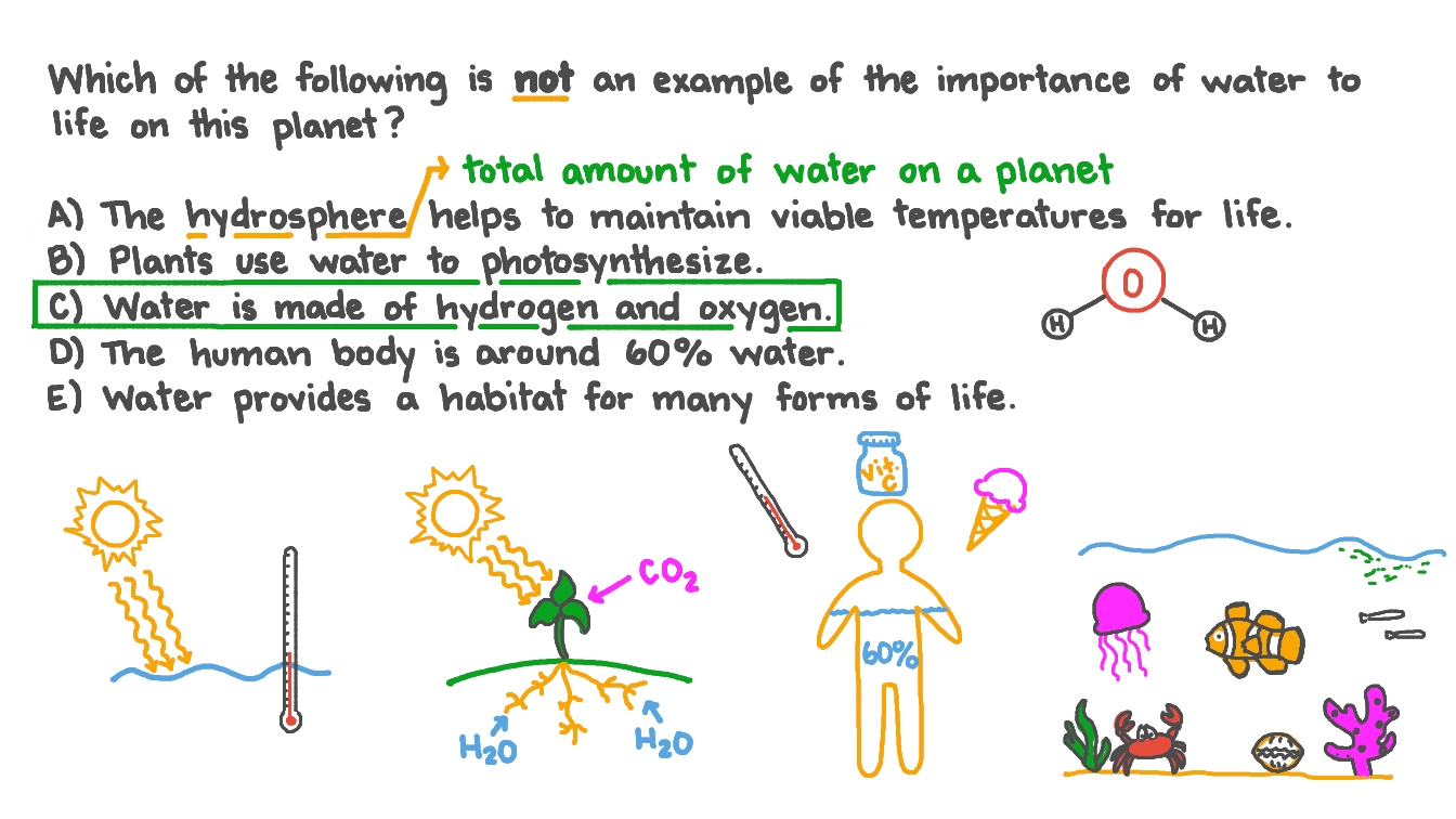 ion Video Understanding The Importance Of Water To Life On Planet Earth Nagwa