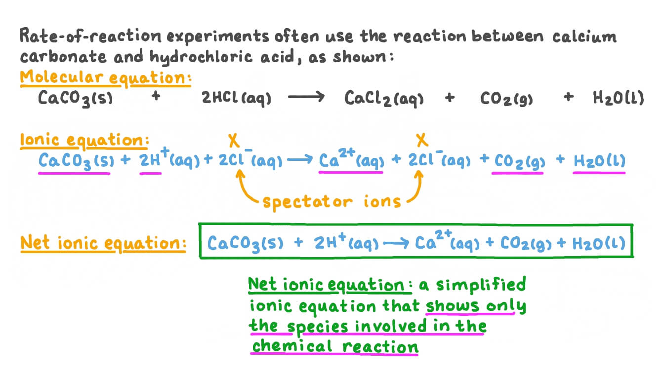 Question Video Writing A Net Ionic Equation For The Reaction Of Solid
