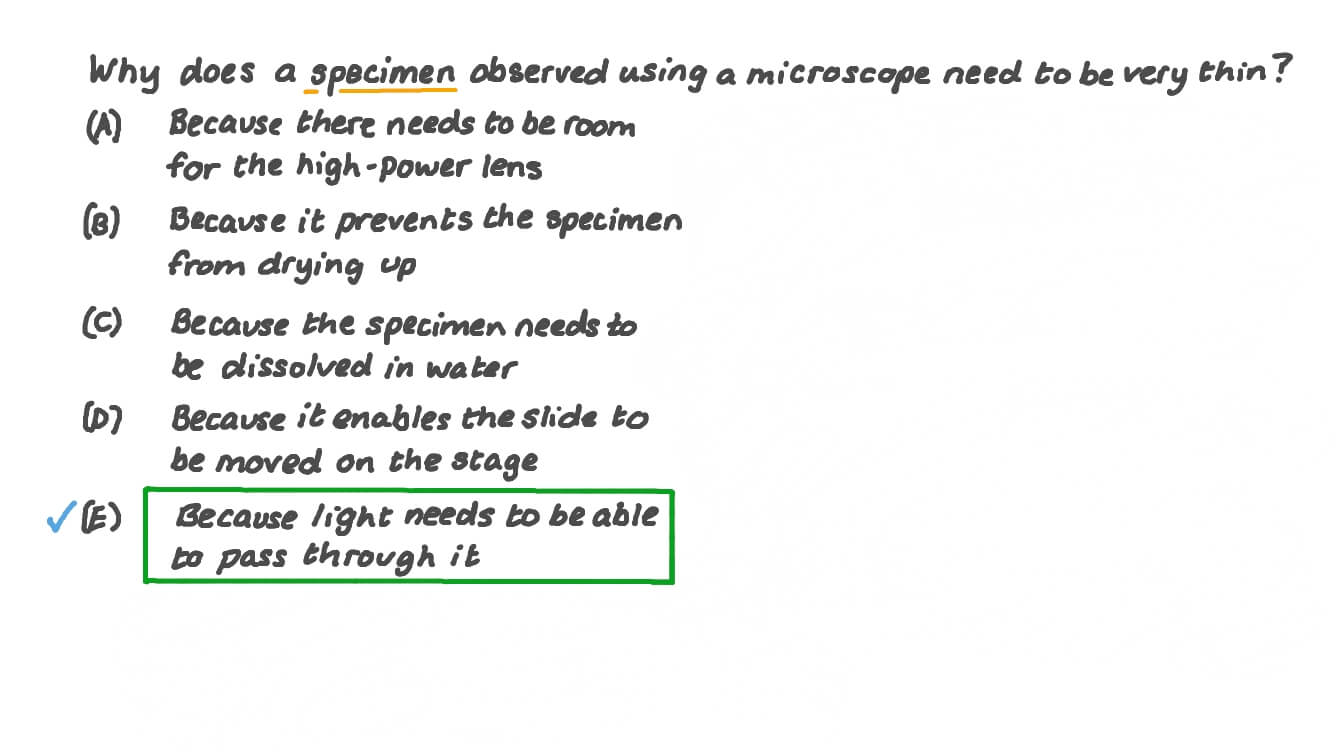Question Video: Recalling Why Specimens Viewed under a Microscope ...