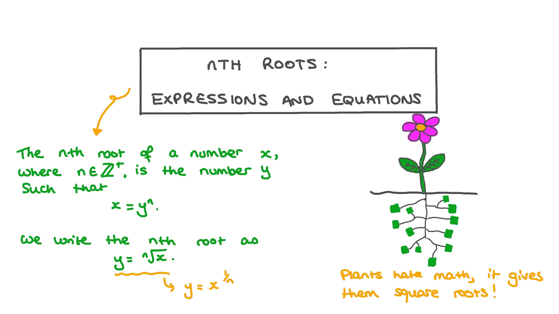Video th Roots Expressions And Equations Nagwa