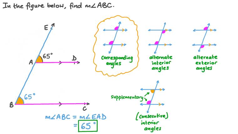 Lesson: Parallel Lines and Transversals: Angle Relationships | Nagwa